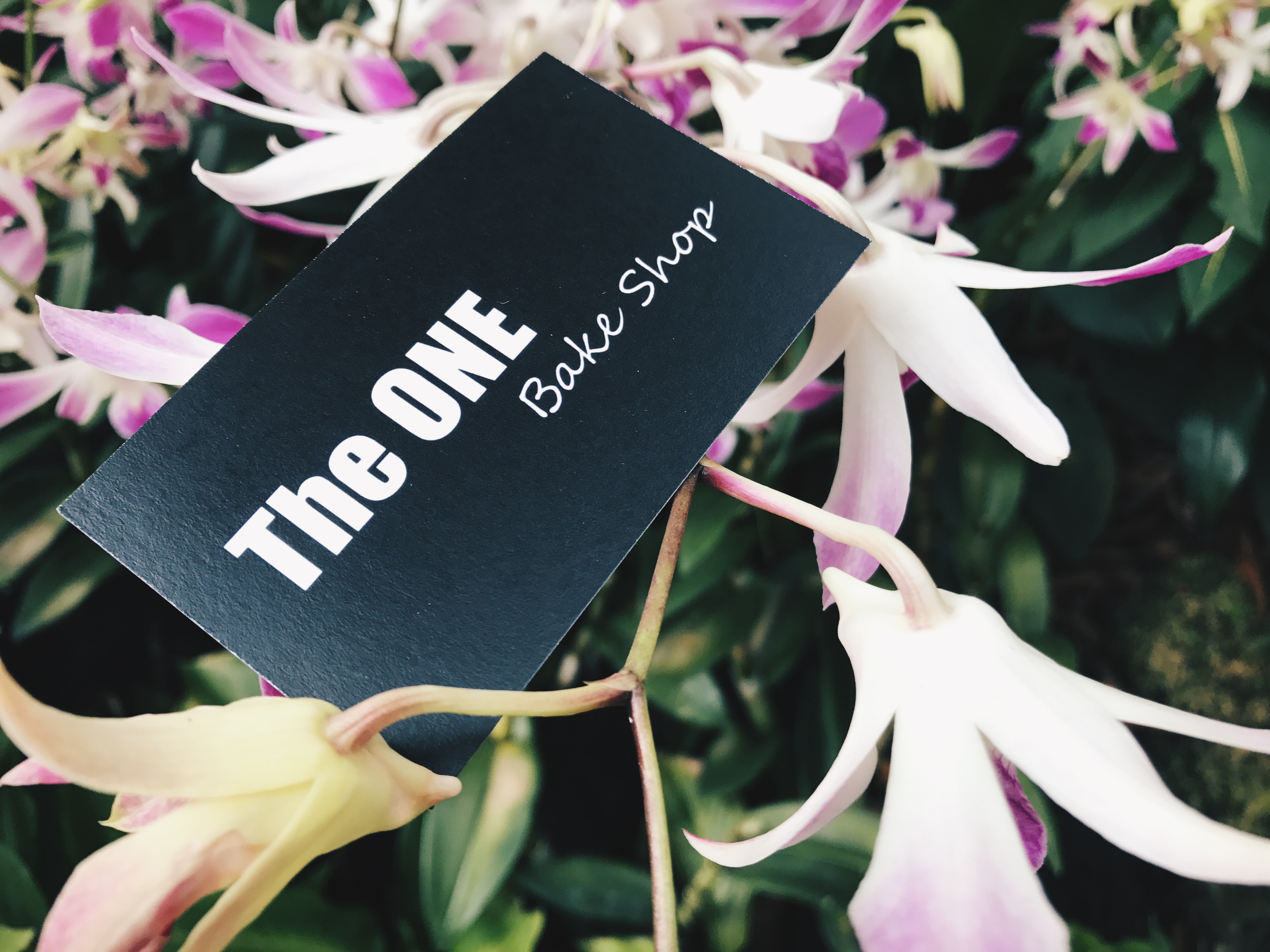 The ONE Bake Shop Review - Cupcake Flower Bouquet, Avocado Cake and more!