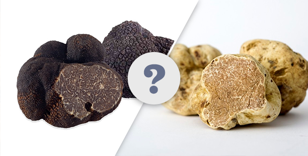 Why Are Truffles So Expensive?