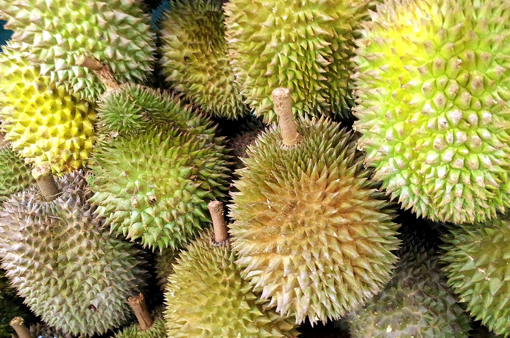 Know the Difference: 10 Common Types of Durians in Singapore