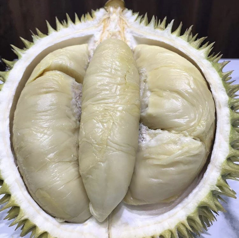 Know the Difference: 10 Common Types of Durians in Singapore