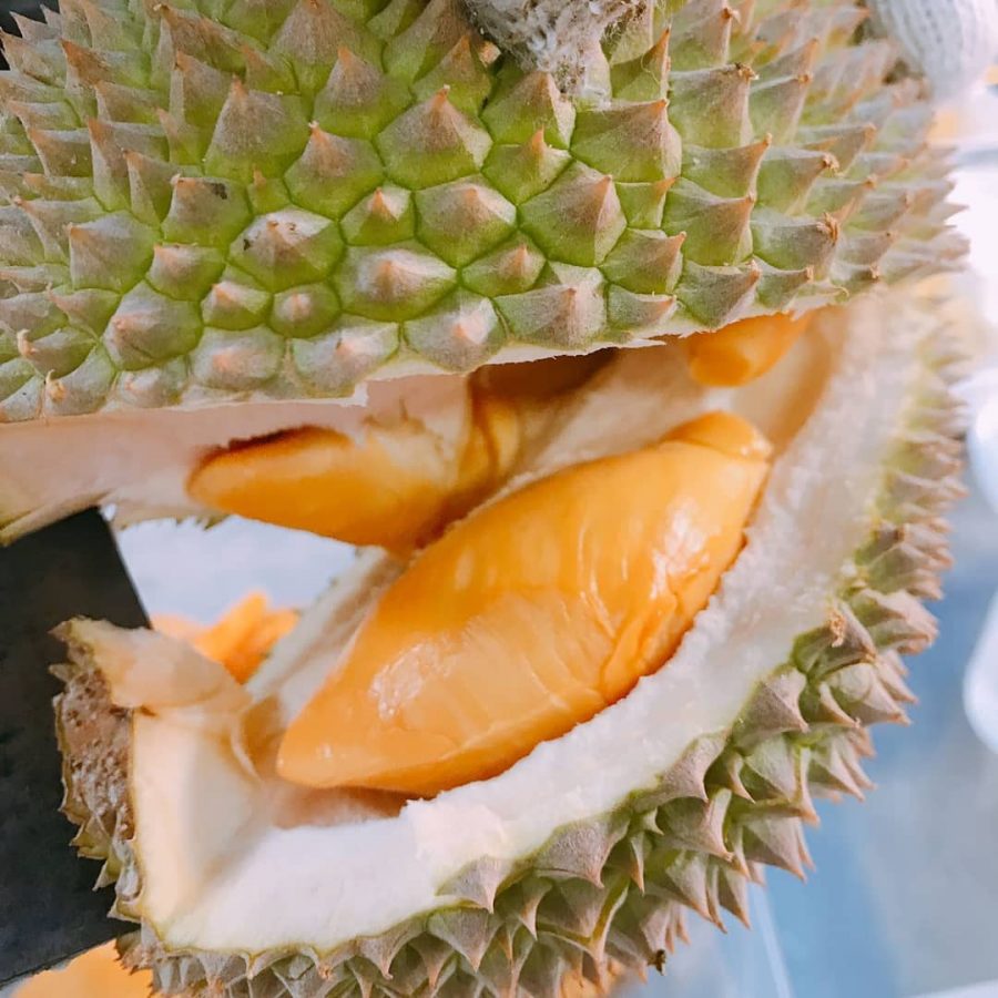 Know the Difference: 10 Common Types of Durians in Singapore