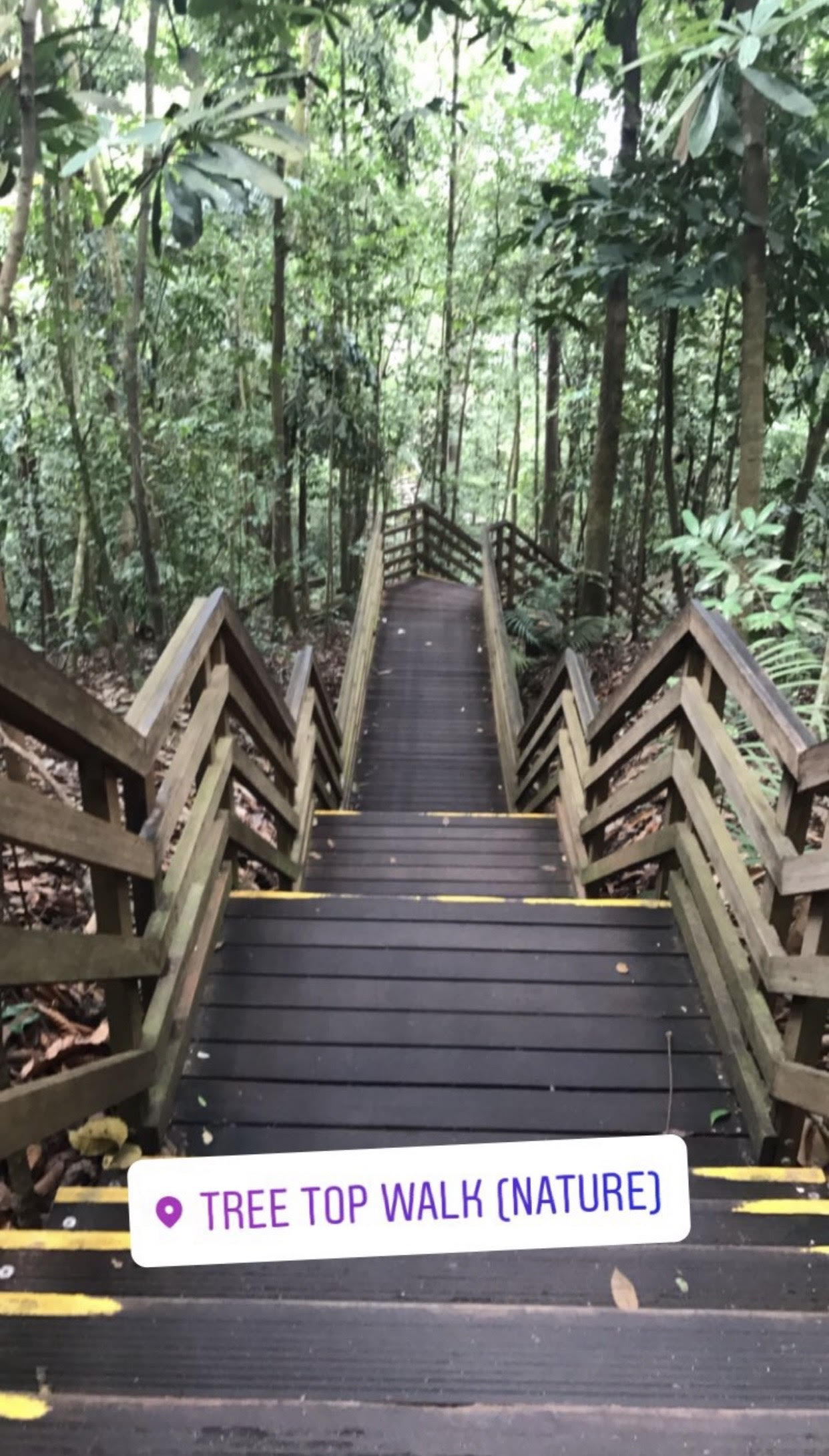 Places To Hike In Singapore